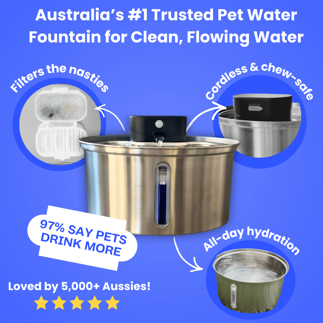 PamperPet™ FlowEase Fountain