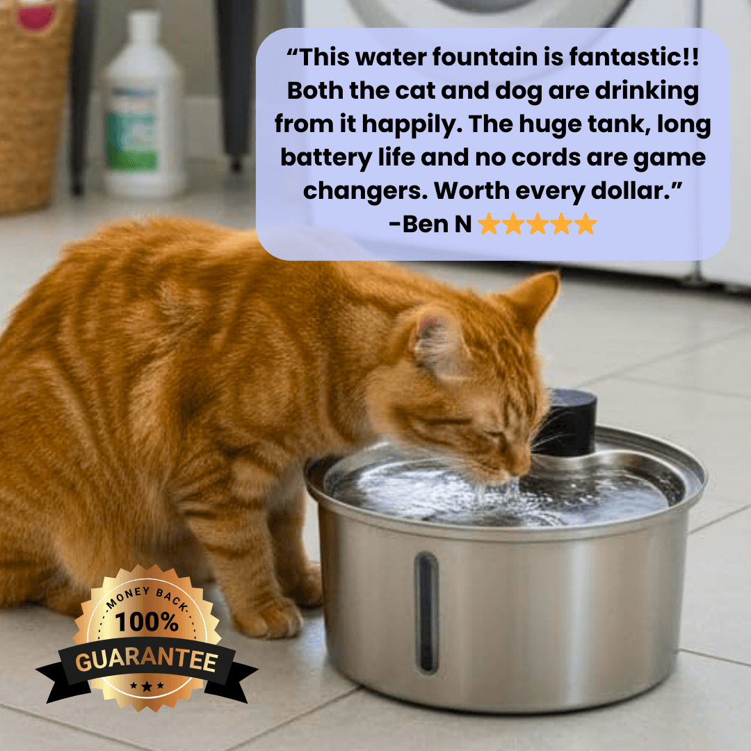 PamperPet™ FlowEase Fountain